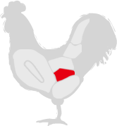 鶏肉:業務用卸 ｜ 株式会社カワグチ